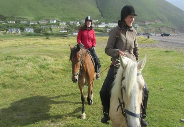 Killarney Riding Stables – Things to do in Killarney
