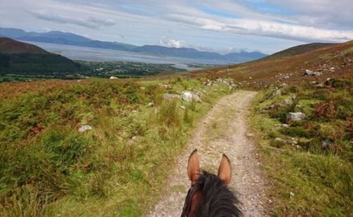 Killarney Riding Stables – Things to do in Killarney