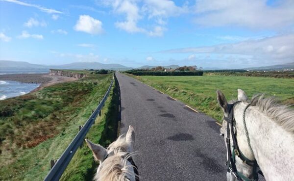 Killarney Riding Stables – Things to do in Killarney