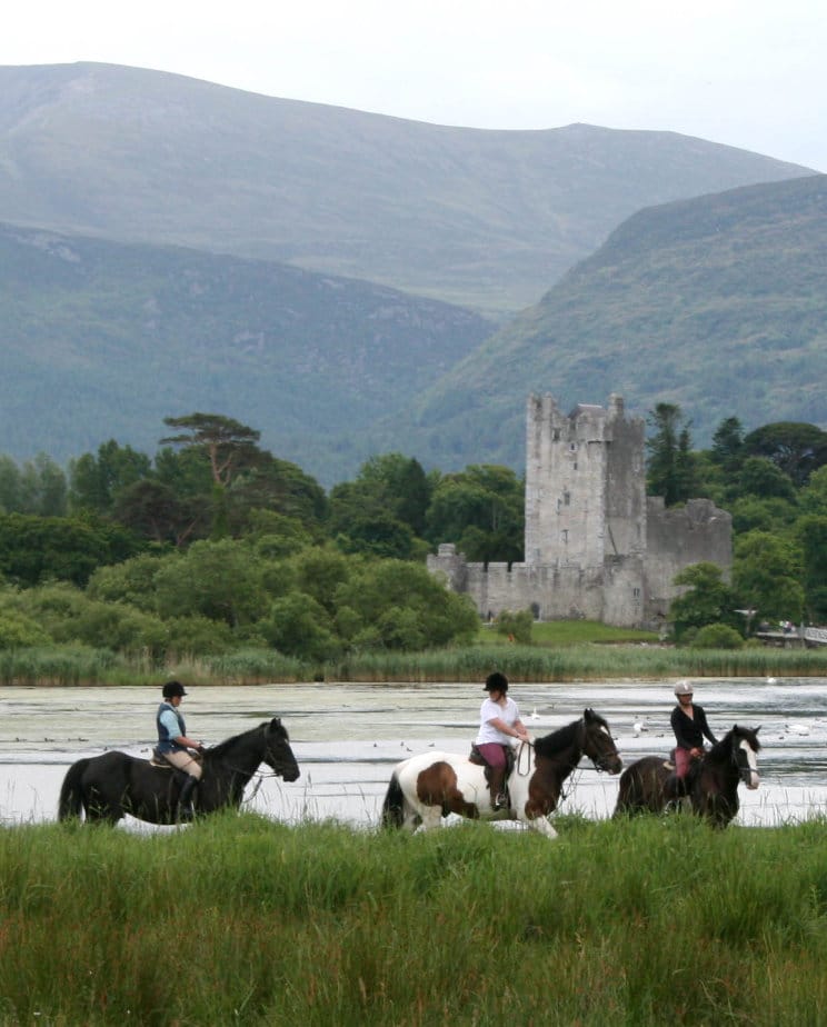 Rides Out – Killarney Riding Stables